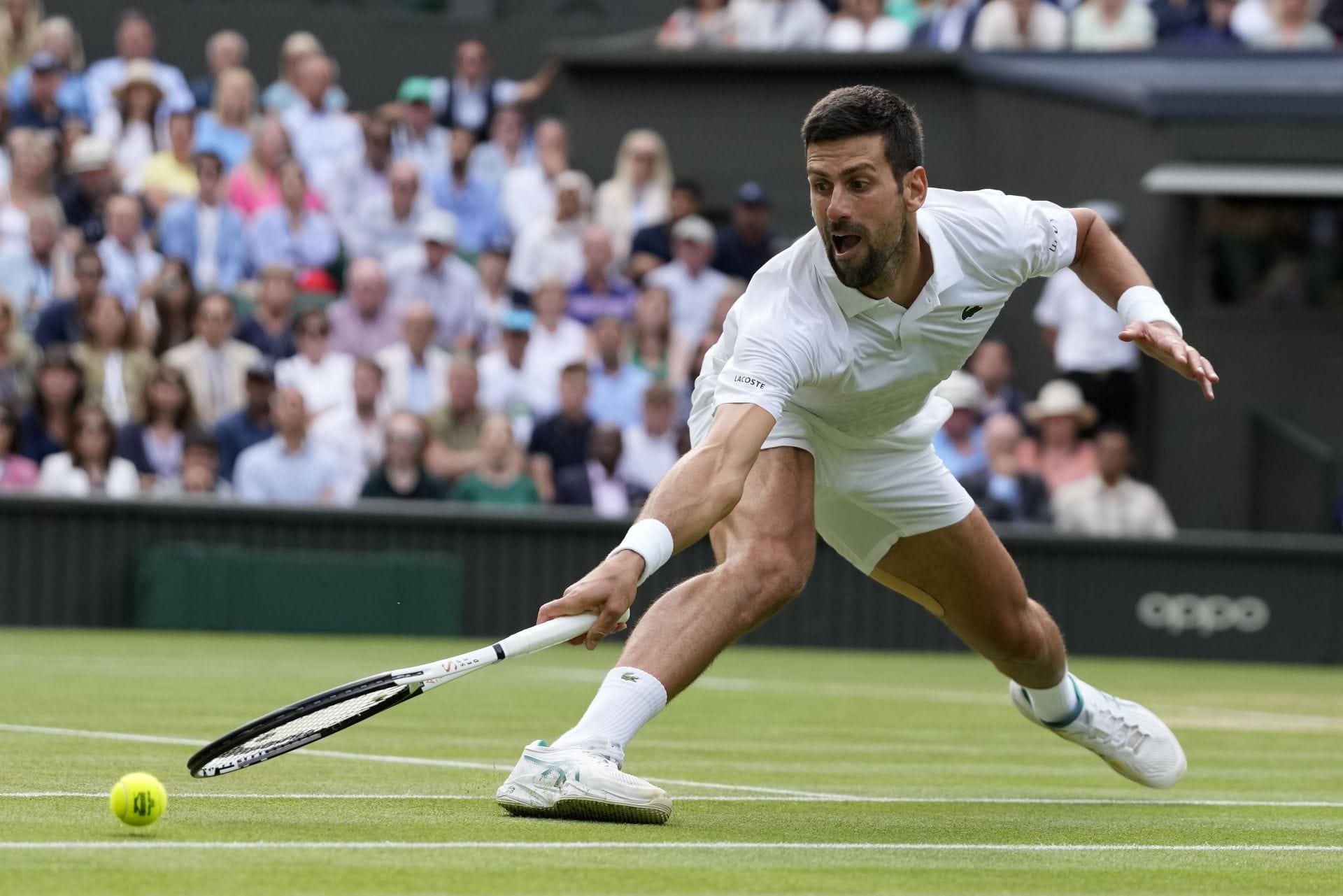 "Novak Djokovic's progression has been unlike anything I’ve seen ...