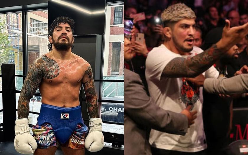 When Dillon Danis was slapped with a huge fine and suspension for ...