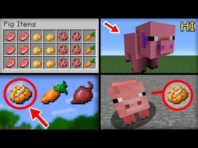 Top 10 real-world animals in Minecraft