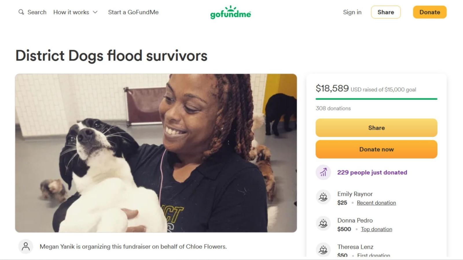 District Dogs: District Dogs flash flooding GoFundMe: Fundraiser raises ...