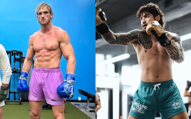 Logan Paul vs. Dillon Danis: When is Logan Paul vs. Dillon Danis? Check ...
