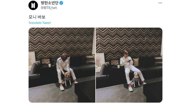 RM's pet Moni: 5 best moments of BTS' Kim Nam-joon with Moni to ...