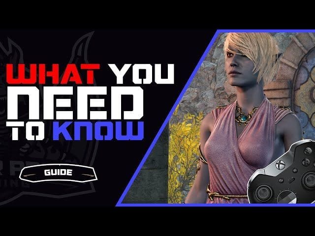 Baldur's Gate 3 best controller settings for PC and PS5