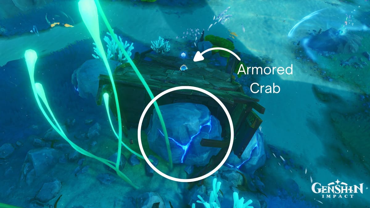 Where to find Fishnado in Genshin Impact: Fontaine underwater fish location