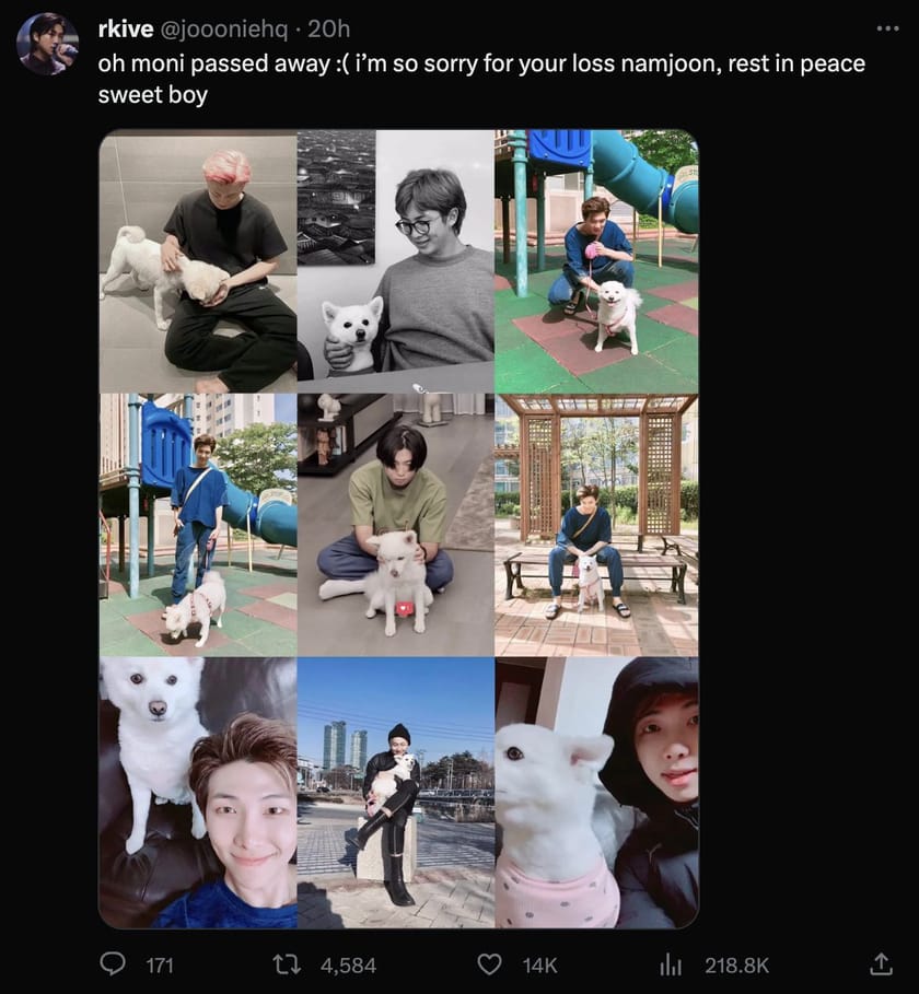 BTS' RM makes a heartbreaking announcement of his pet dog Moni's ...