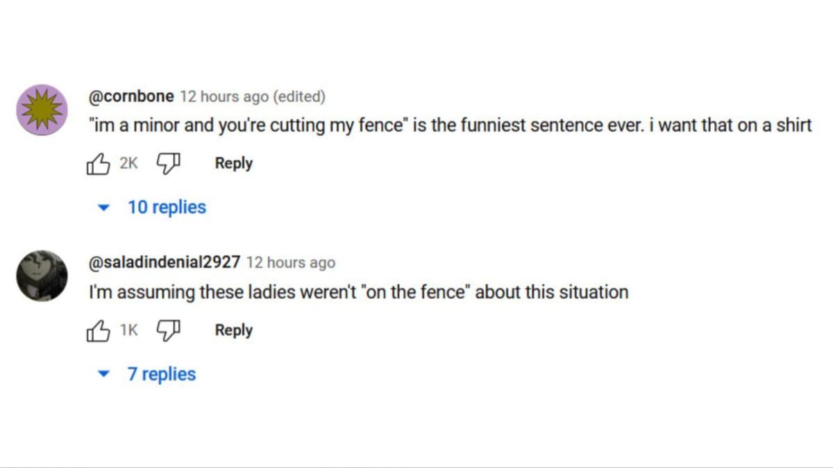 Fence Lady: “Entitlement, racism, and ignorance”: Fence Lady drama ...