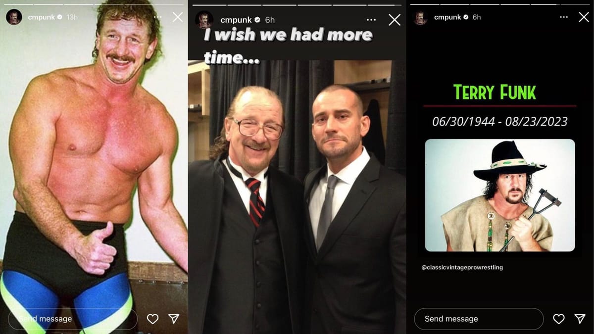 "I wish we had more time" - CM Punk posts heartfelt tribute to Terry Funk