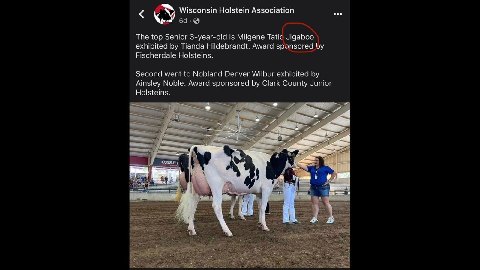 What does 'Jigaboo' mean? Wisconsin State Fair racial slur cow ...