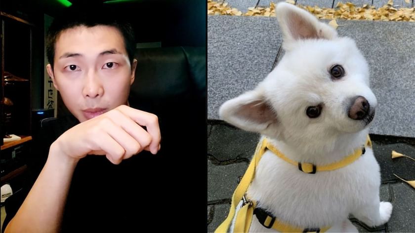 BTS' RM makes a heartbreaking announcement of his pet dog Moni's ...