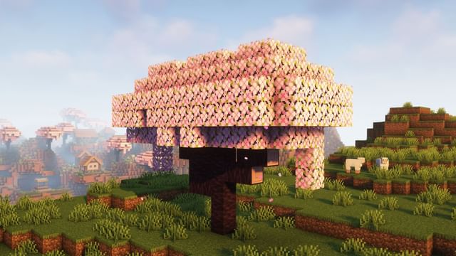 How to find and use cherry wood in Minecraft
