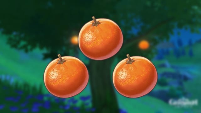 Genshin Impact Bulle Fruit locations and Best uses