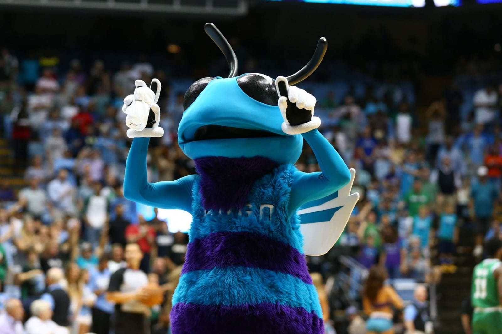 Top 5 NBA mascots ranked by salaries, featuring the Denver Nuggets' and ...