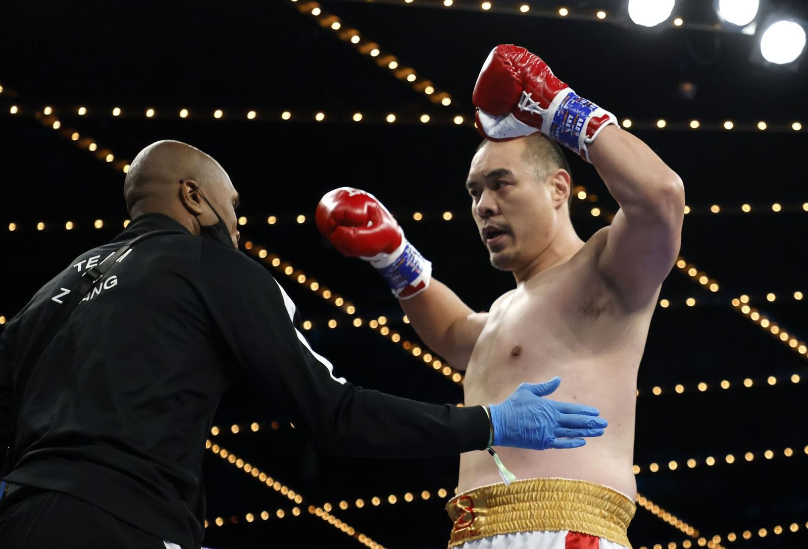 Zhilei Zhang Net Worth