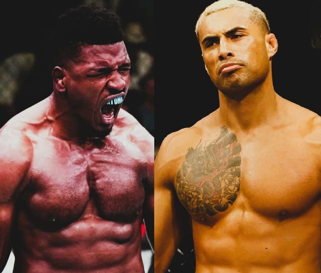 5 fights to make for UFC 293 winners