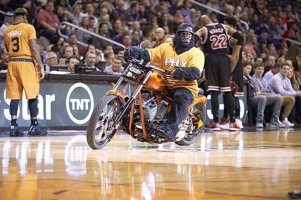 Who is the Phoenix Suns' mascot, Go the Gorilla?
