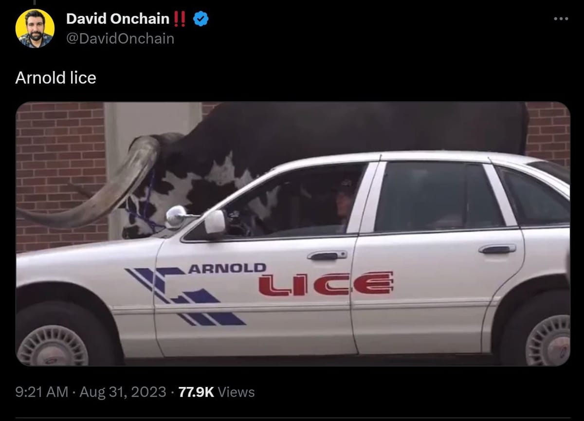 “Can only happen in Nebraska”: Man pulled over for driving with bull ...