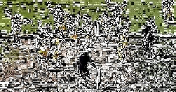 ICC Cricket World Cup Host: From 1975 to 2023