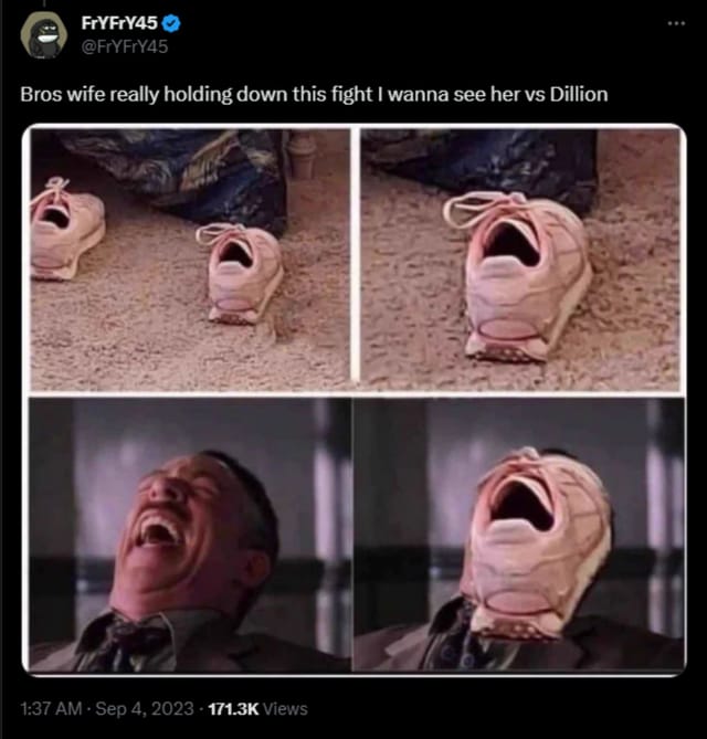 "Bro's wife really holding down this fight": Hilarious Logan Paul memes erupt as alleged Nina ...