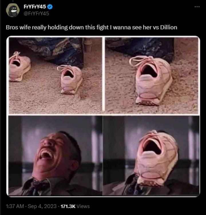 "Bro's wife really holding down this fight": Hilarious Logan Paul memes ...