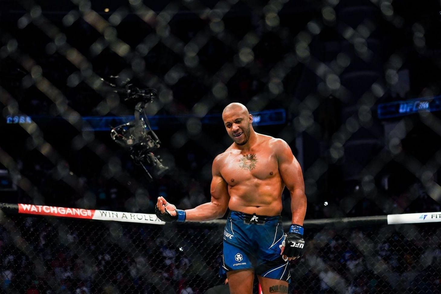 What Ethnicity is Ciryl Gane?