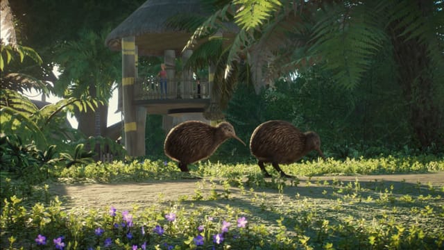 Planet Zoo Oceania Pack review: A devil, a penguin, and a kiwi walk into a zoo