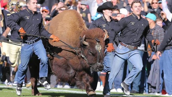 Why Is CU Mascot Named Ralphie?