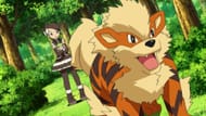 Pokemon GO Arcanine PvP and PvE guide: Best moveset, counters, and more
