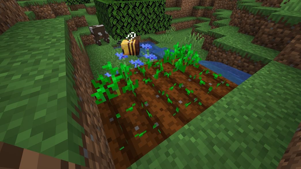 Minecraft Bee guide: Location, uses, breeding, and more