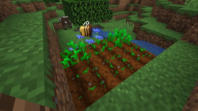 Minecraft Bee guide: Location, uses, breeding, and more