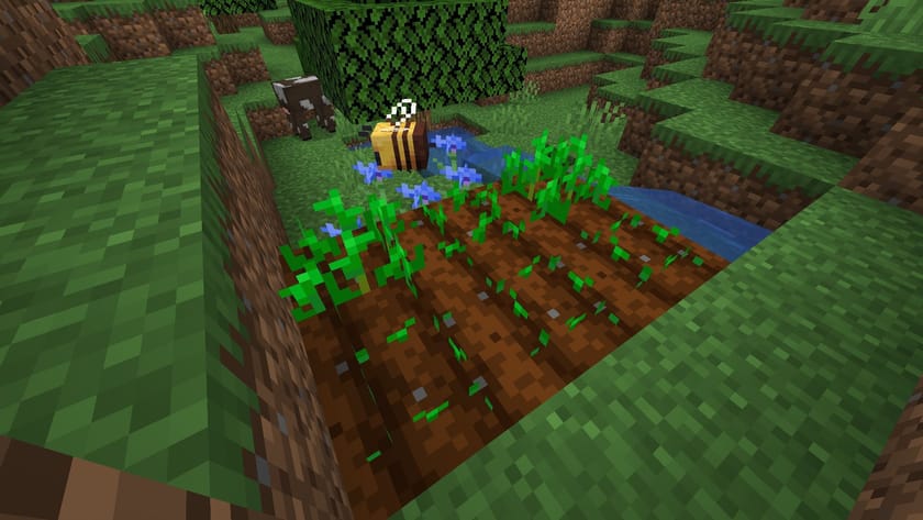 Minecraft Bee guide: Location, uses, breeding, and more