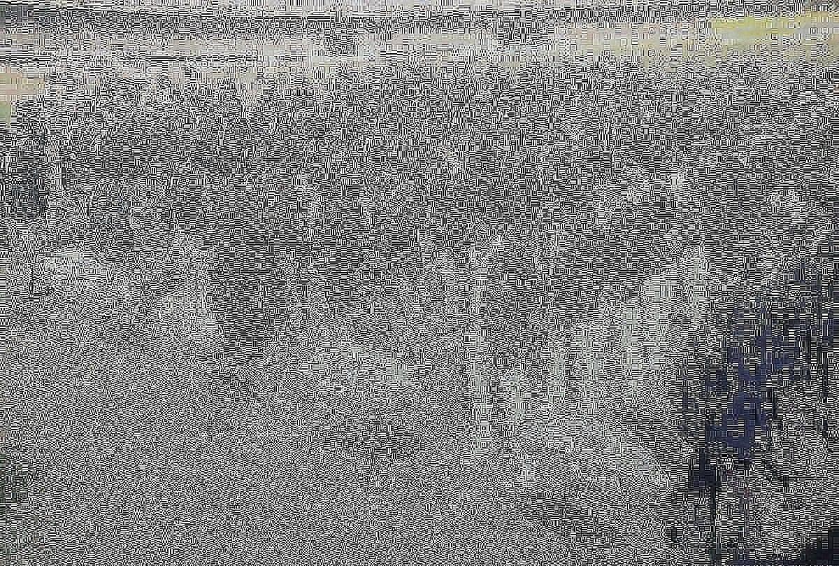 ICC Cricket World Cup Host: From 1975 to 2023