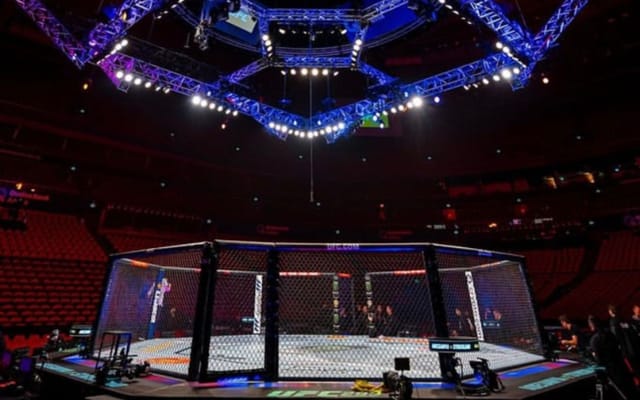 Breaking: Exciting lightweight matchup added to UFC 295 fight card ...