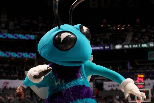 Who is the Charlotte HorNets' mascot, Hugo the HorNet?
