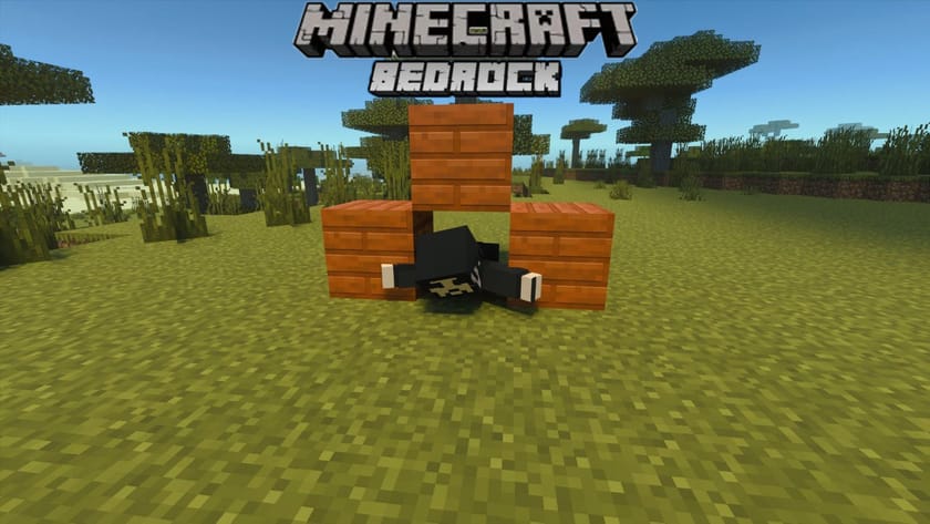How to crawl in Minecraft Bedrock