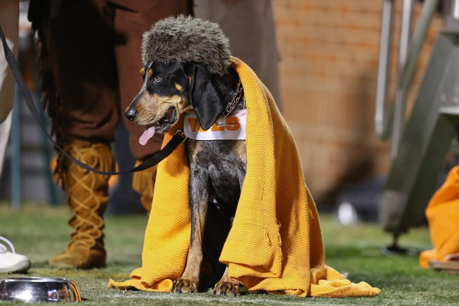 What kind of Dog is Smokey at Tennessee?