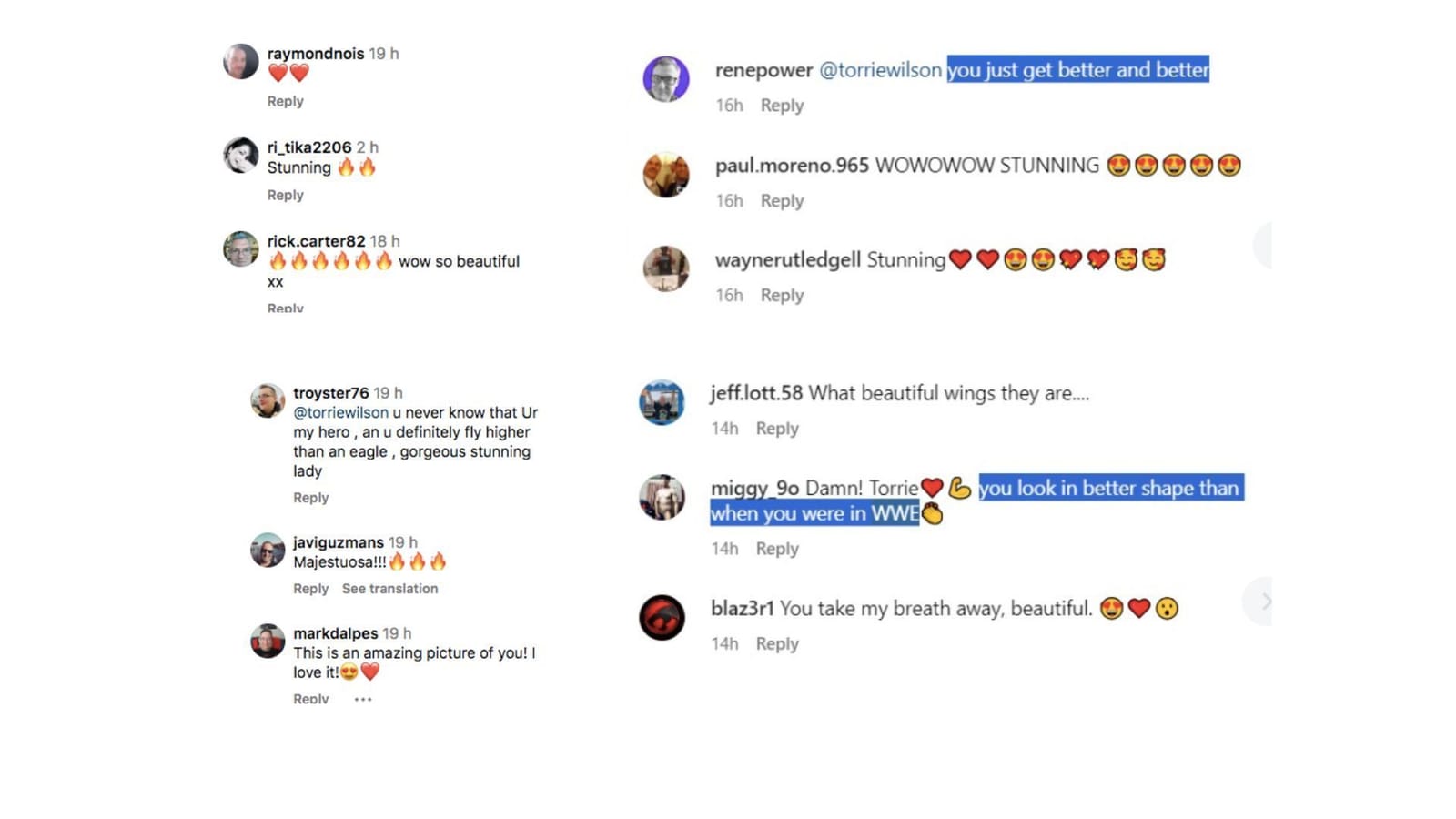 Torrie Wilson sizzles in swimsuit as fans can't get enough of Alex ...