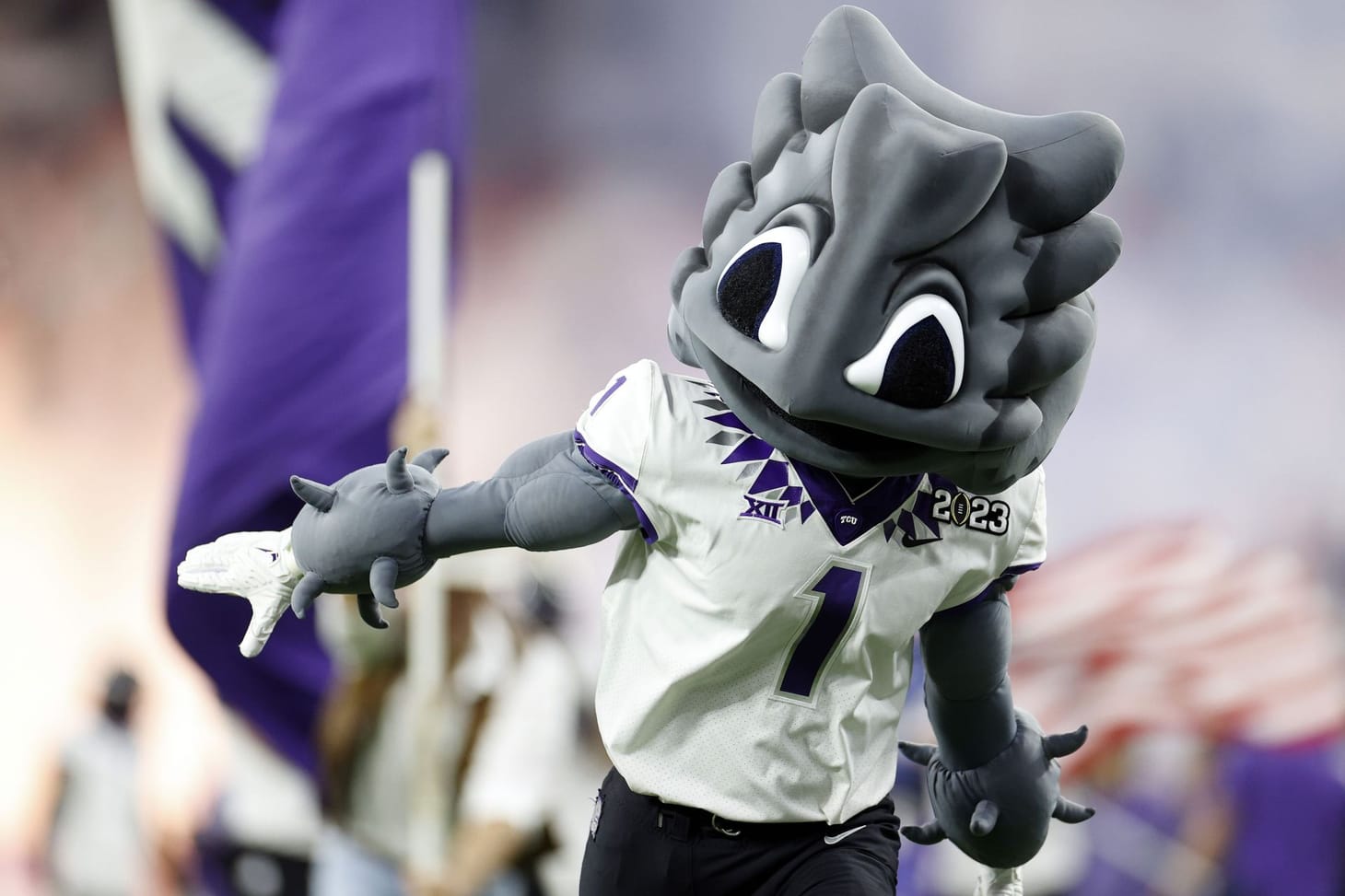Where did TCU get their mascot name?