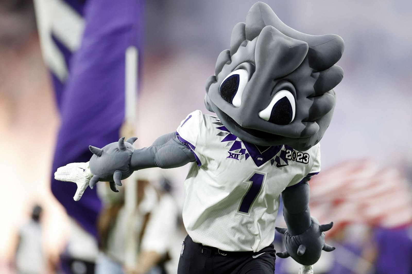 Where did TCU get their mascot name?