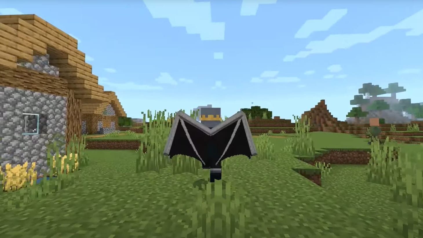 How to change Elytra skin in Minecraft?