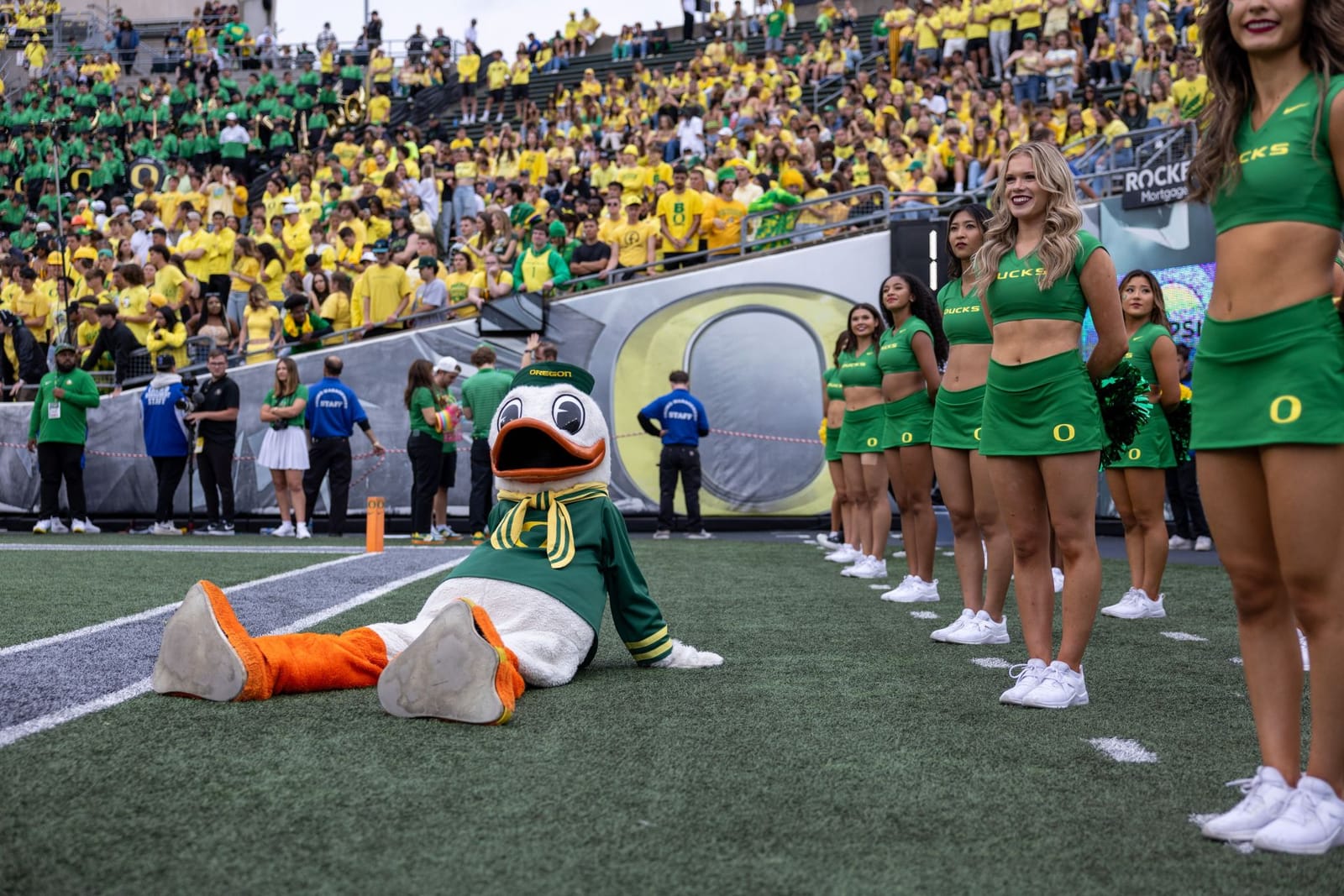 Watch: Oregon Ducks fan brings a real duck inside the stadium, delights ...