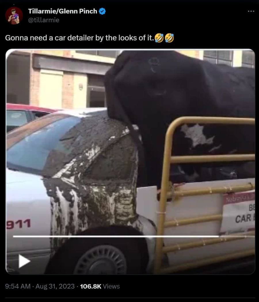 “Can only happen in Nebraska”: Man pulled over for driving with bull ...