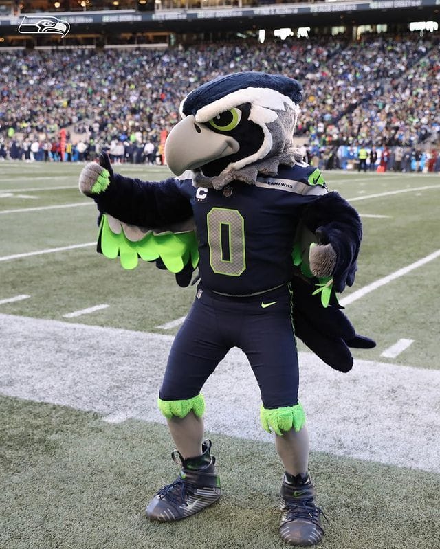 What Are Seattle Seahawks Mascots Blitz and Boom's Salary?