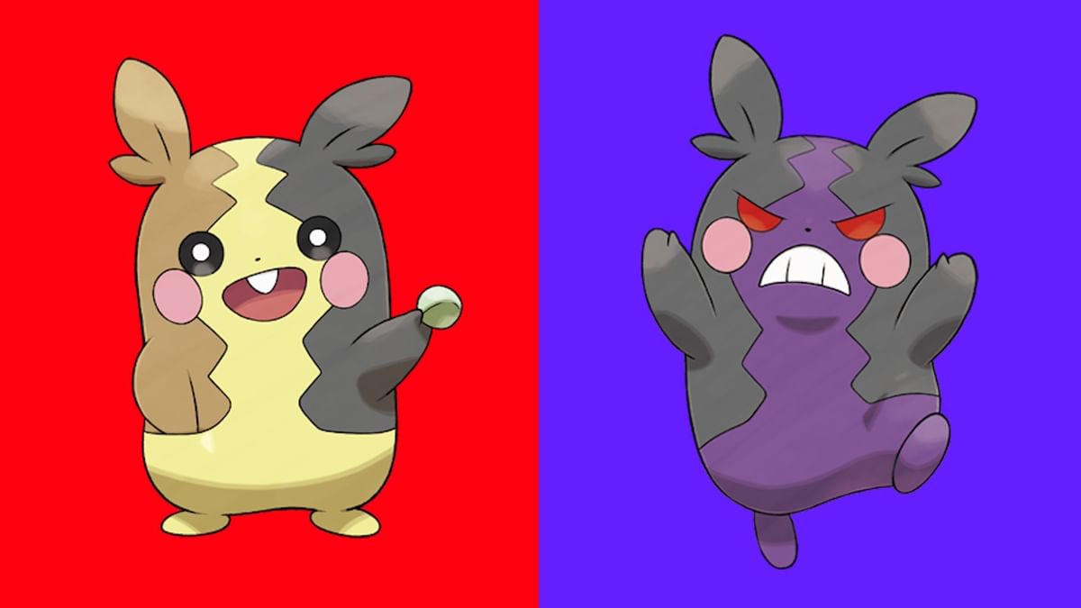 Pokemon Scarlet and Violet Teal Mask: How to get Morpeko