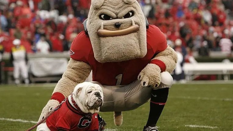 Why did UGA choose the bulldog?