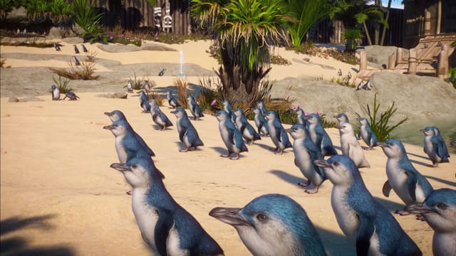 Planet Zoo Oceania Pack review: A devil, a penguin, and a kiwi walk into a zoo