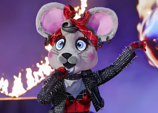 Who is Anonymouse? Pop star revealed to be special mystery guest on The ...