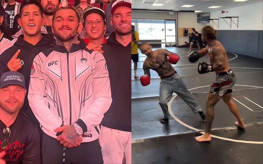 Blake Bilder: UFC fighter brutalizes amateur stuntmen by knocking them ...