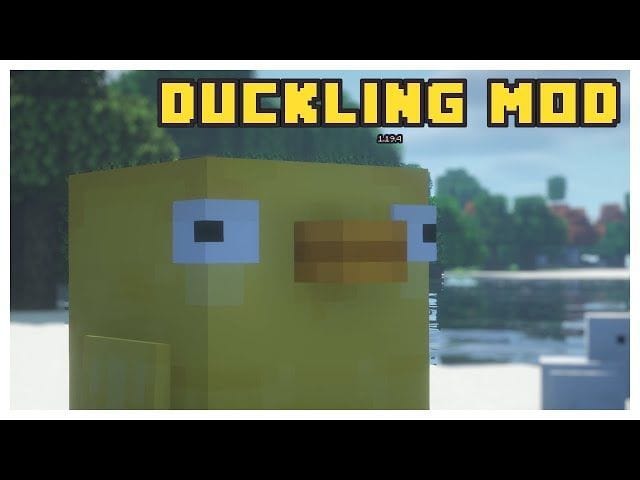 10 best Minecraft wildlife mods
