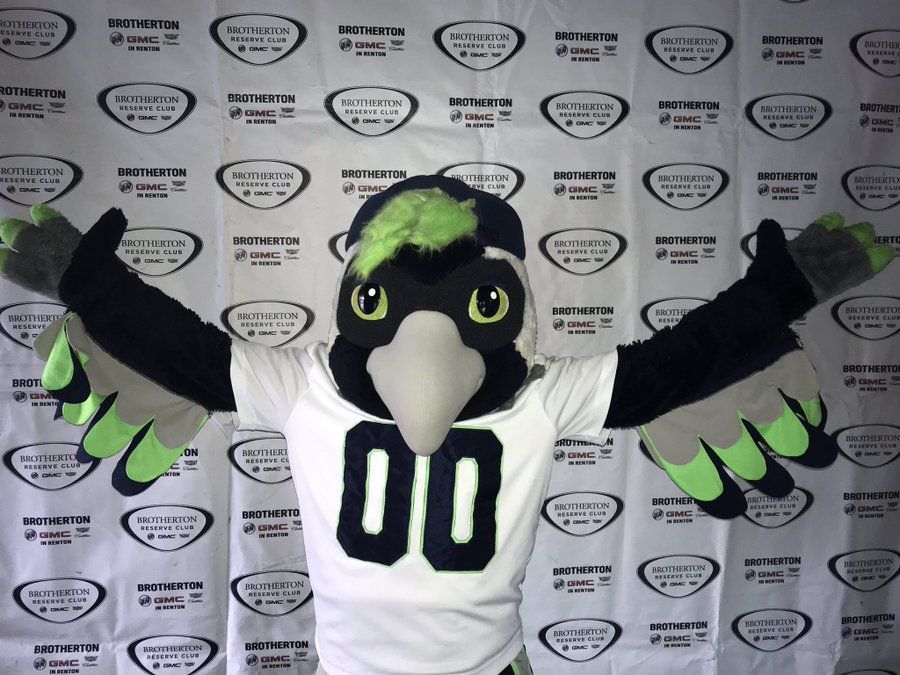 What Are Seattle Seahawks Mascots Blitz and Boom's Salary?