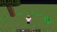 10 best funny Minecraft mods